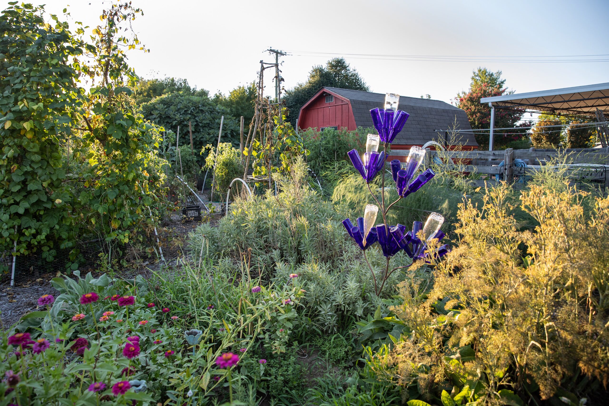Alisa Huntsman's Garden in Progress - Edible Nashville