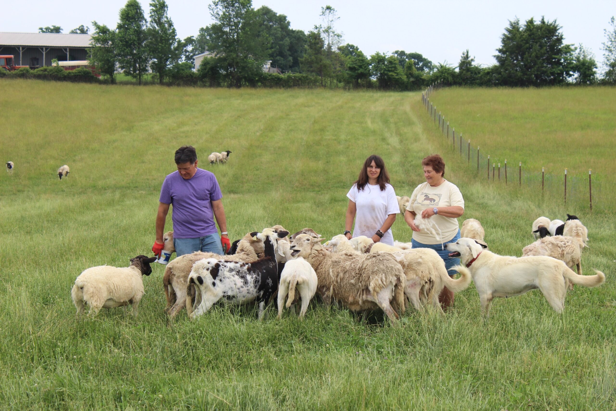 Elaine Dustin: The Lady of The Lamb - Edible Nashville