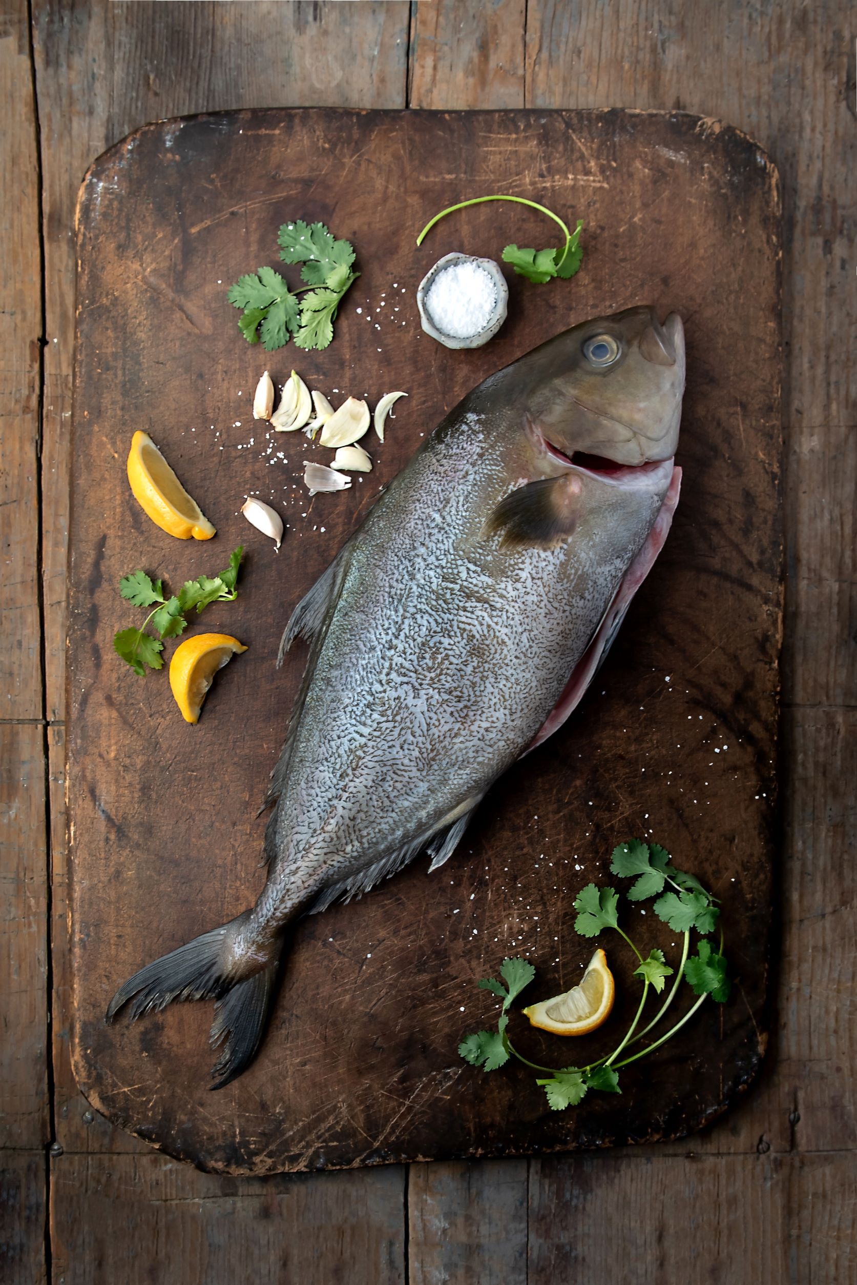 Aloha Fish Company: Sea to Table - Edible Nashville