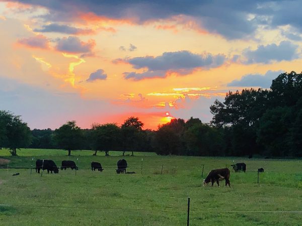 By Faith Farm Receives River Friendly Farm Certification with ...