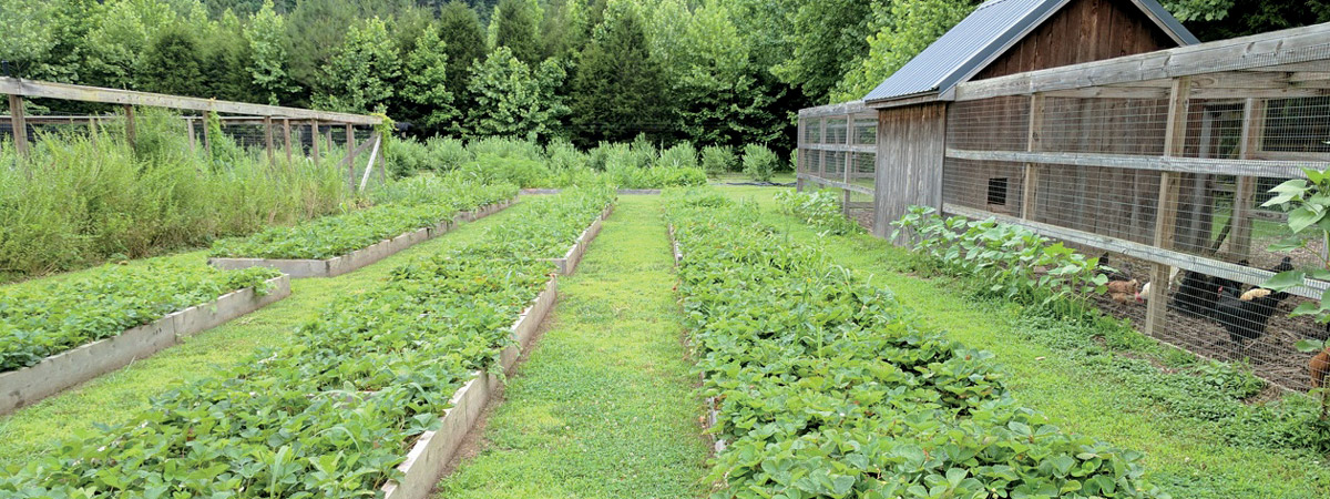 The Marsh House - Edible Nashville