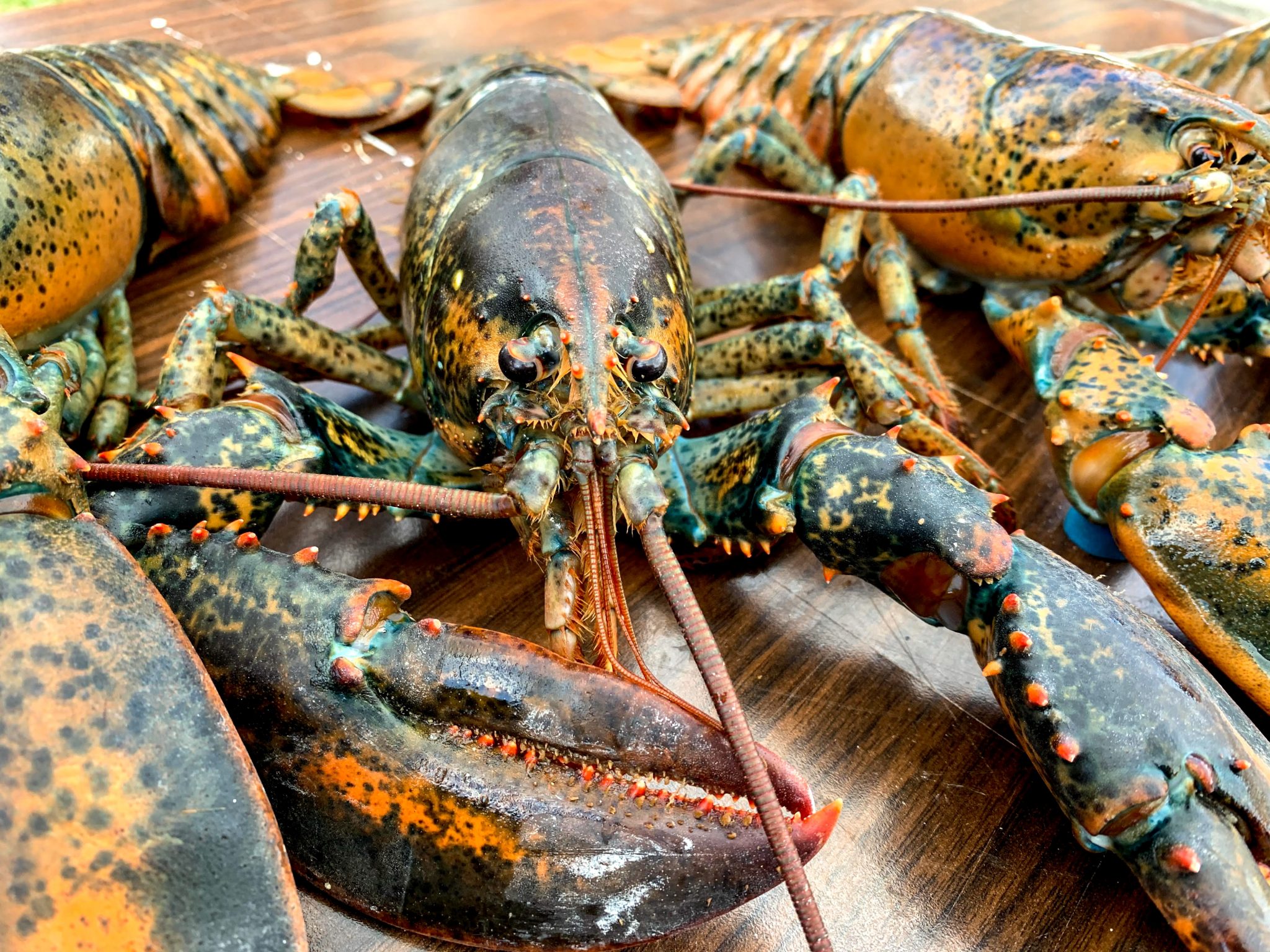 Easy Lobster Boil - Edible Nashville