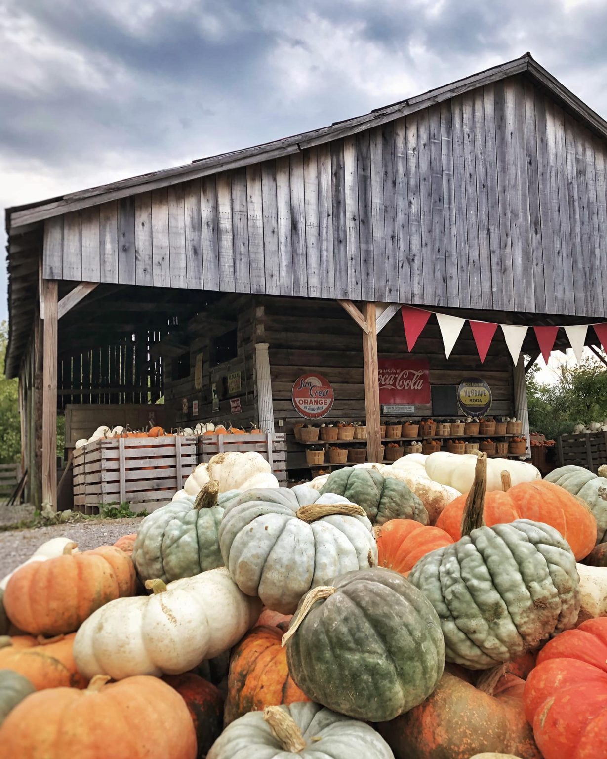 15+ Must-Visit Pumpkin Patches & Farms Near Nashville (2025)